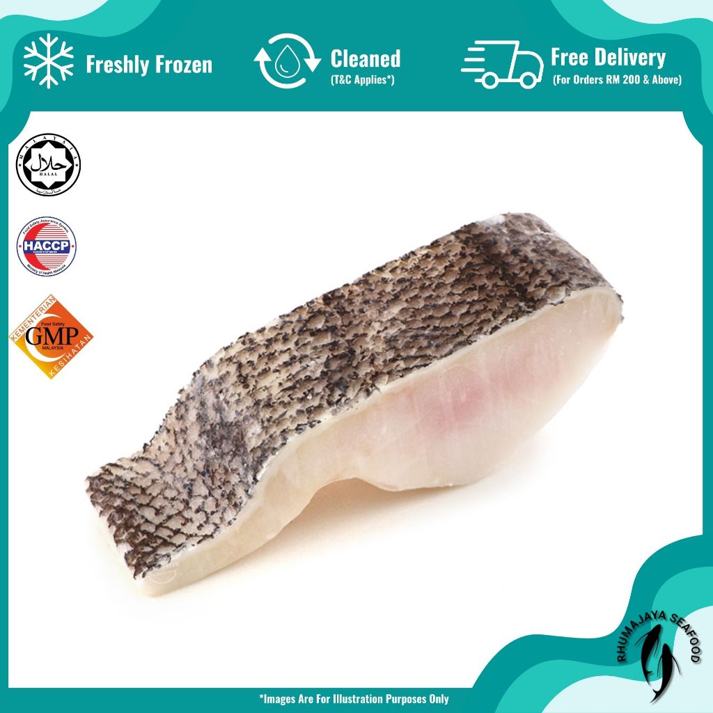 Siakap Fillet Portion Ikan Siakap Fillet 石甲鱼切片| Rhumajaya Fresh Frozen ...