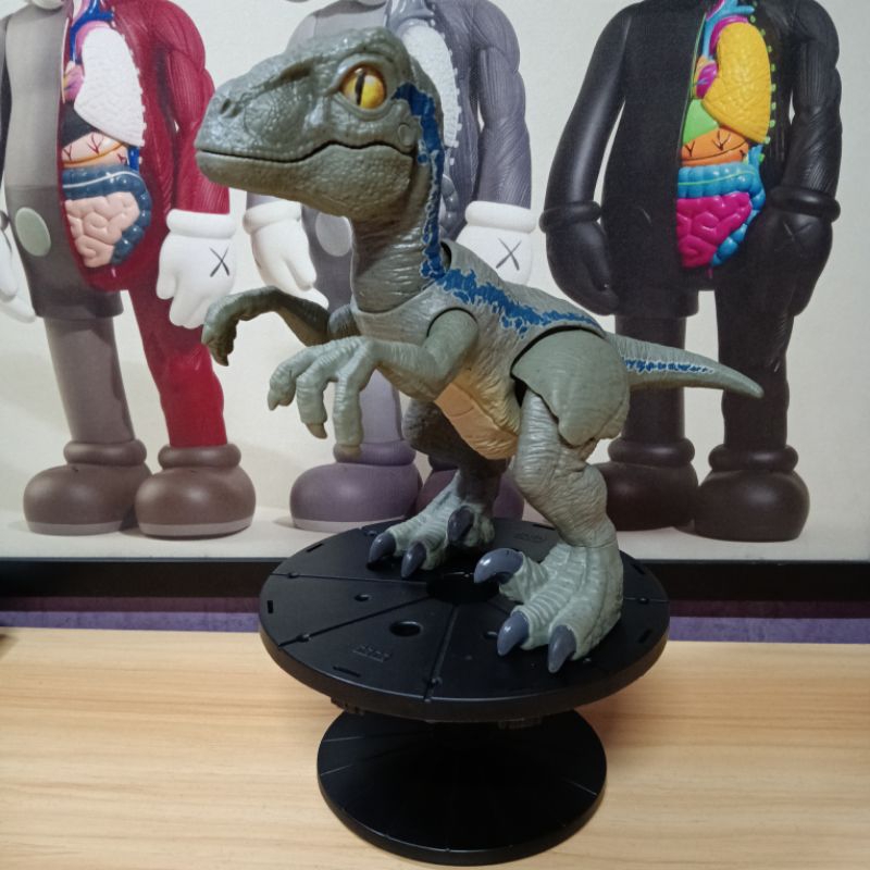 Mattel Jurassic World Dino Rivals Primal Pal Blue Velociraptor Figure ...