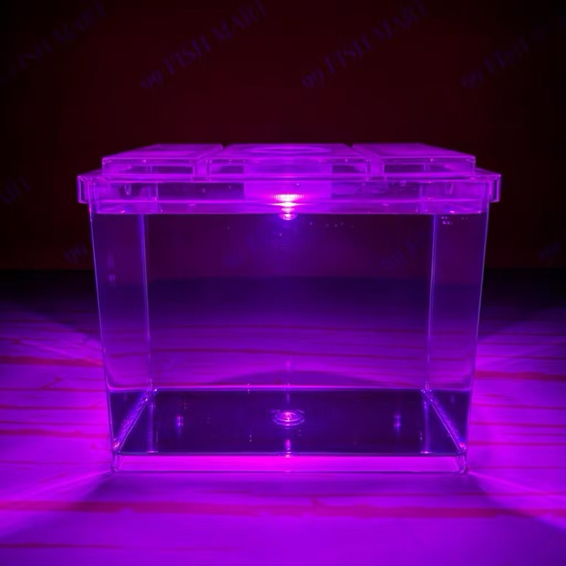 Mini Tank Ikan laga Betta Acrylic Transparent pet Box Tangki Kecil ...