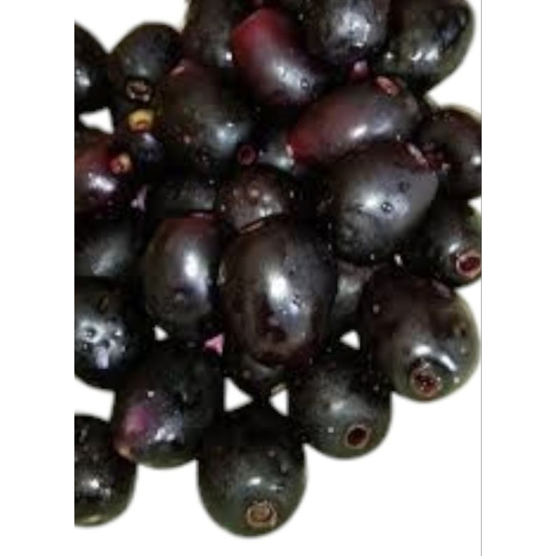 Buah keriang dot atau jambu arang 200 gram | Shopee Malaysia