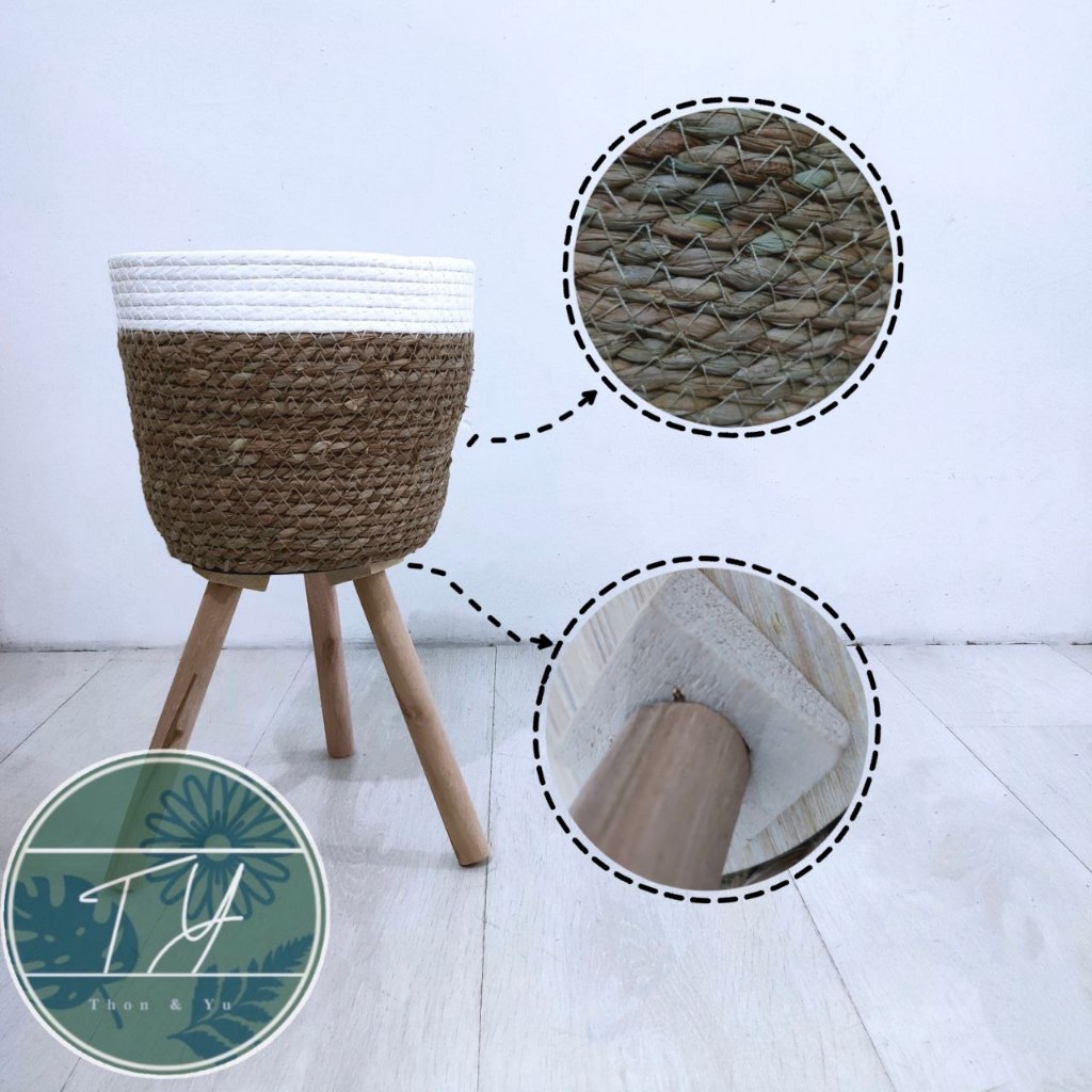 Pasu rotan | Pasu berkaki tiga | Pasu untuk pokok skybird | Rattan ...