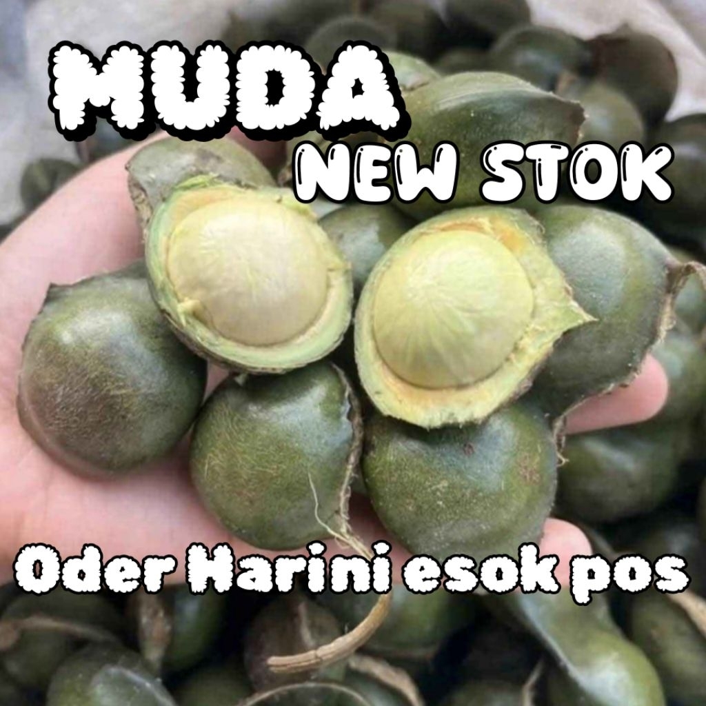 PROMOSI Jering Muda sedang 1kG (Fresh) | Shopee Malaysia