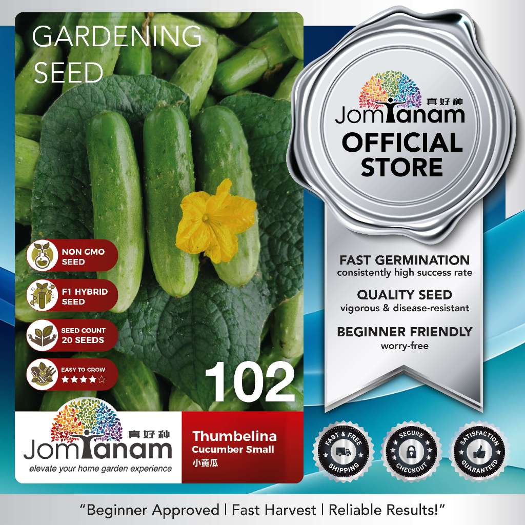 Biji Benih Timun Mini Thumbelina 102 Mini Cucumber Seed JOM TANAM 迷你黄瓜 ...