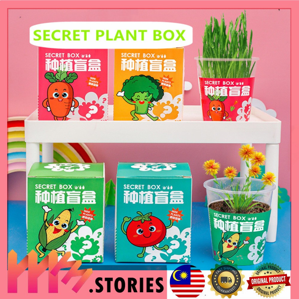 Mini Green Plant Blind Box for Kids – DIY Growing Kit for Classroom ...