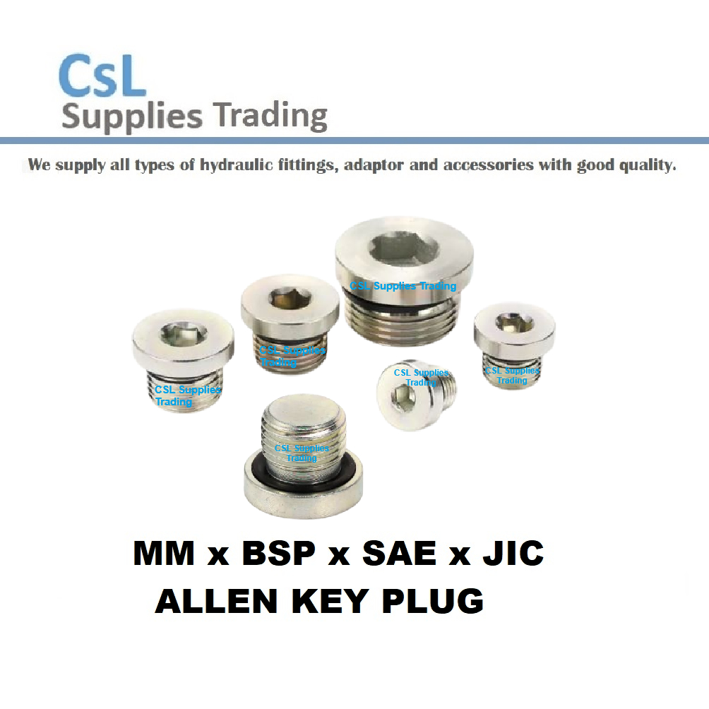 ALP-MM SIZE BSP ALLEN KEY HOLLOW O-RING BOSS CAP HYDRAULIC ADAPTER ...