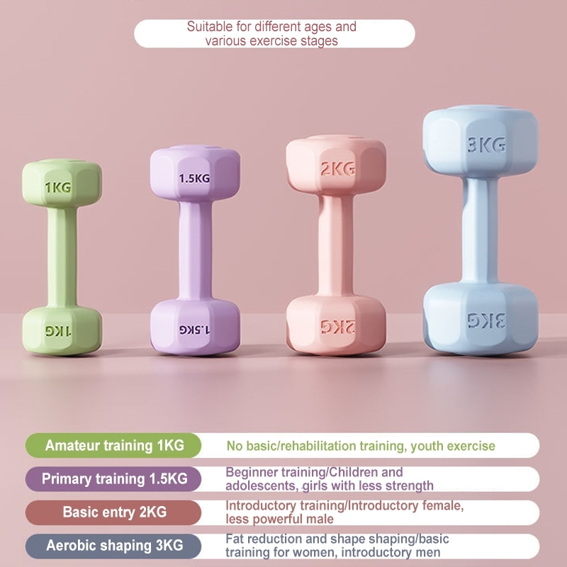 Dumbell 1kg/2kg/3kg Gym Dumbbell Home Weight Training Weight Lifting ...