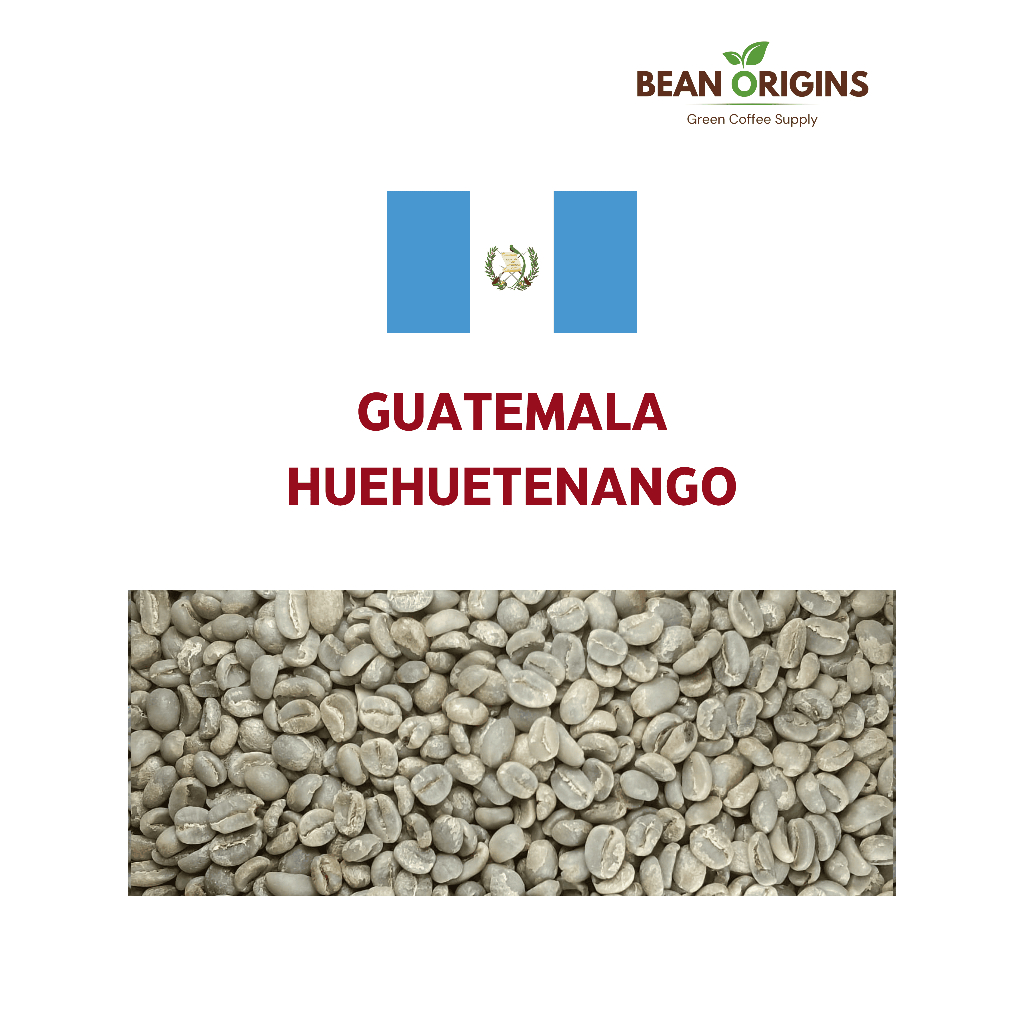 Unroasted Guatemala Huehuetenango SHB EP Grade 1 Hand-Sorted Arabica Raw Coffee Bean I 400g I ...