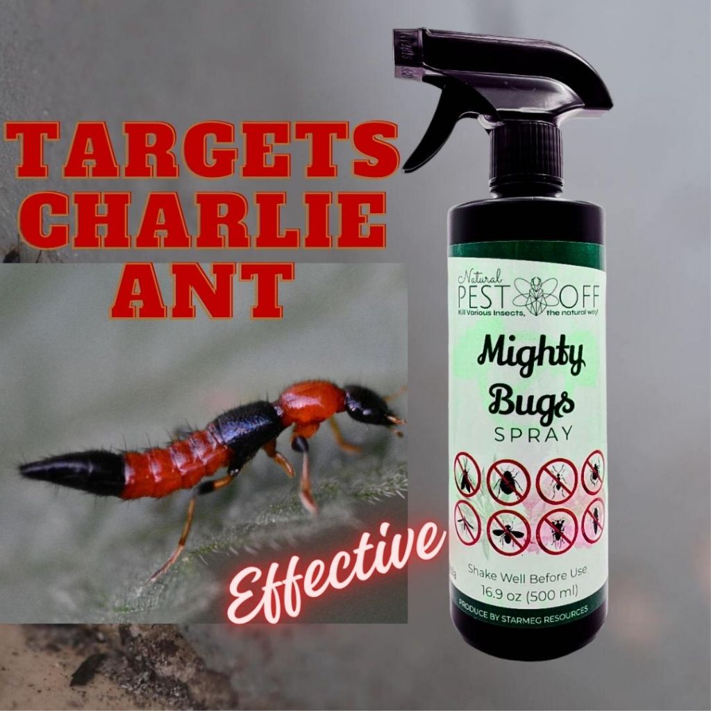 PestOff Mighty Bugs Spray Kill Charlie Ant Bunuh Semut Charlie Fast ...