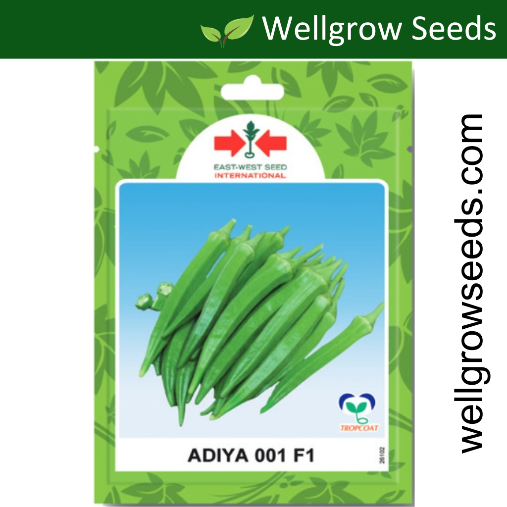 Okra Adiya 001 F1 (20sds) 羊角豆 East West Seeds EW001 Biji Benih | Shopee ...