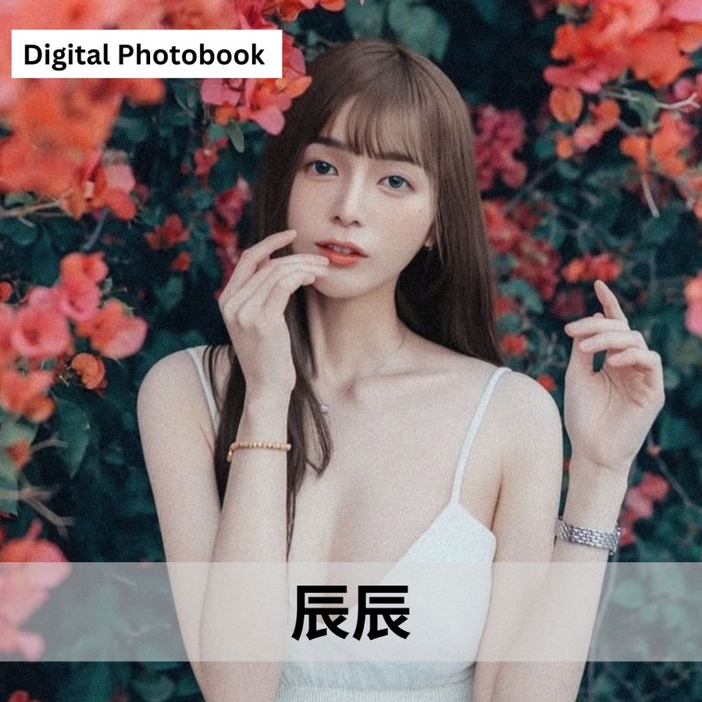 【辰辰】Taiwanese Model JVID 大尺度 黑暗迪丽热巴 PDF 电子写真 Digital Photobook | Idol Collectibles | Shopee Malaysia