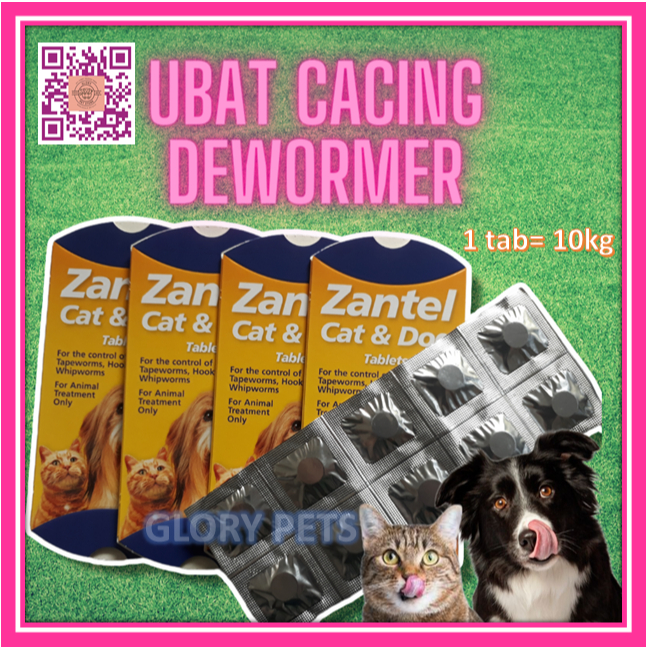 Ubat Cacing Kucing Terbaik Kitten Dewasa Cat Deworm Tablet Dewormer ...