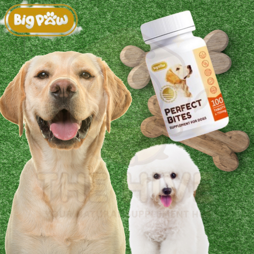 🐶 HQ Original | BIG PAW Supplement For Dogs 100's - Ready Stock 🐶 ...