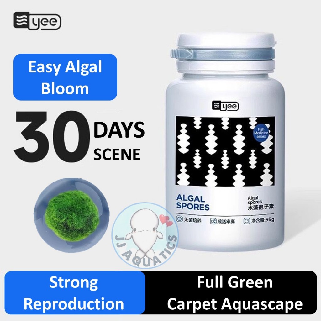 YEE Algal Algae Spores Aquarium Green Carpet Purify Water Aquascaping ...