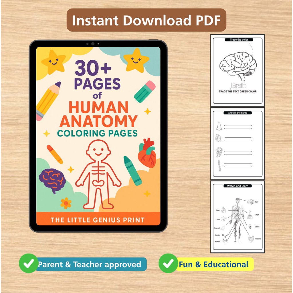 Human Anatomy Digital Worksheet For Kids Over 30 Pages Bold & Easy ...