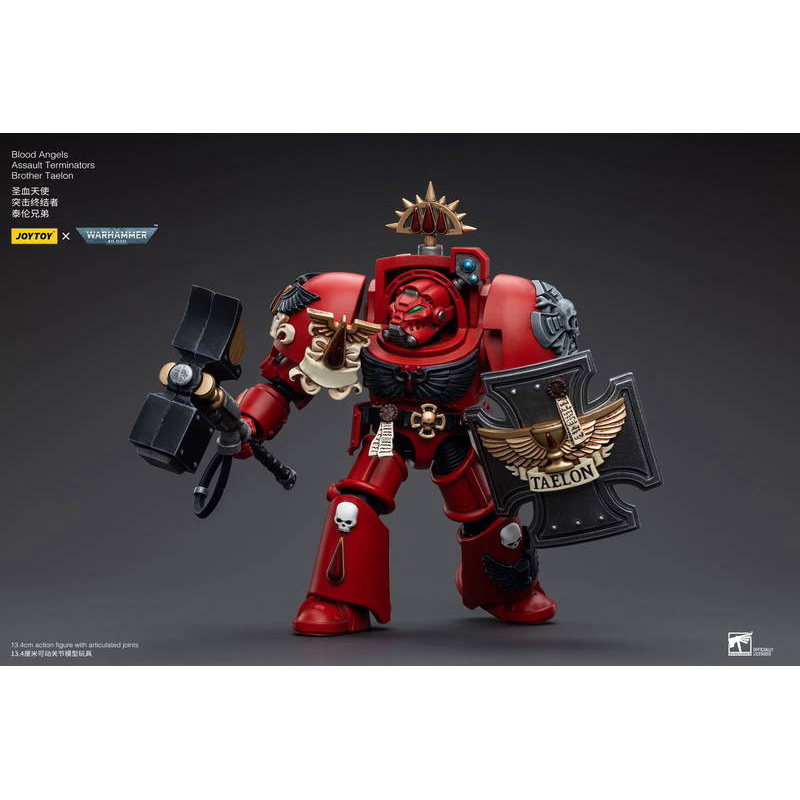 JoyToy WH40K Blood Angels Assault Terminators Brother Taelon | Shopee ...