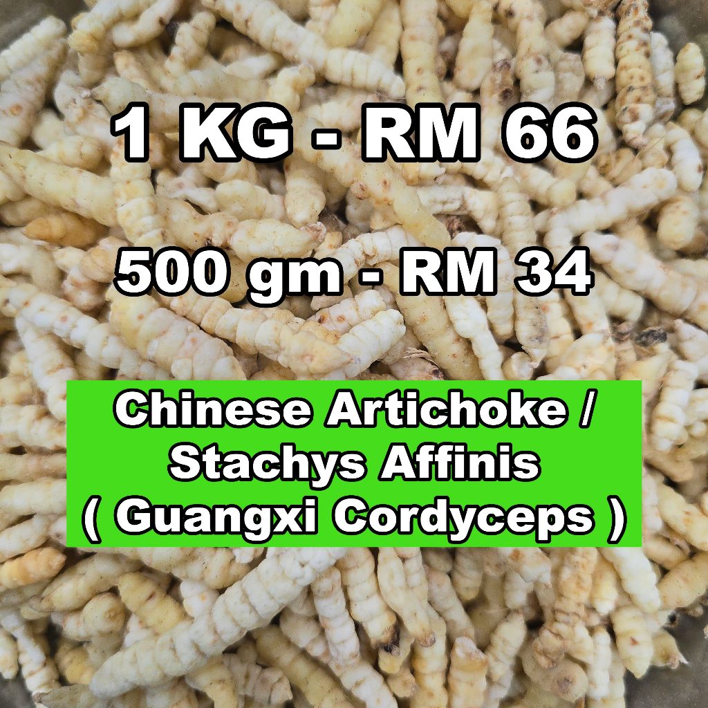Chinese Artichoke / Stachys Affinis ( Guangxi Cordyceps ) 广西虫草 (500gm ...