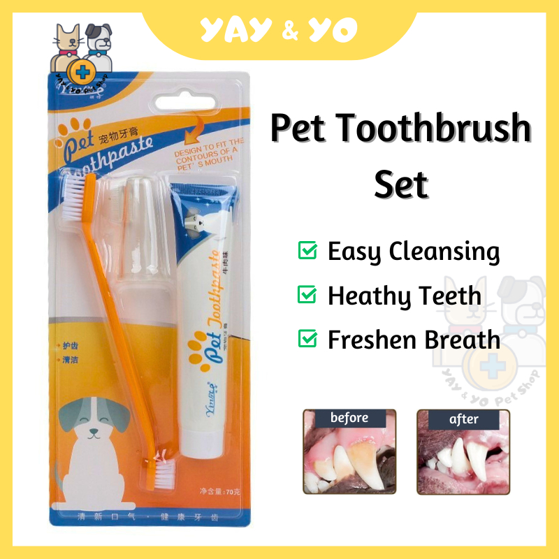 Yay&Yo Pet Puppy Dog Cat Toothbrush and Toothpaste Brush Teeth Cleaning ...