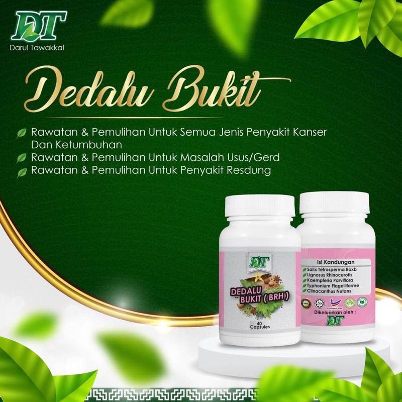 DEDALU BUKIT PENAWAR KANSER DAN KETUMBUHAN | UBAT PROSTAT | UBAT ...