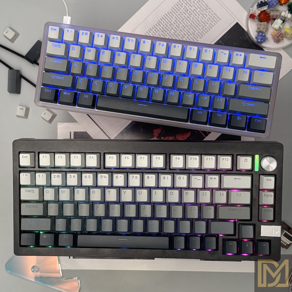 [LOCAL STOCK] Polar Day Keycap RGB Backlit PBT Double Shot OEM Front ...