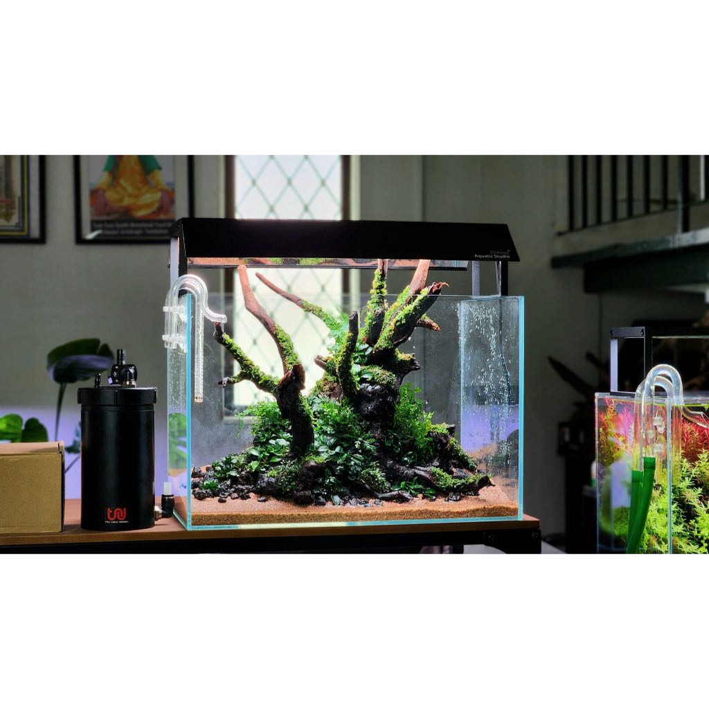 TRU PVC v1 Nano Aquarium Canister Filter (L/XL) (Mini Tank/Nano Tank ...