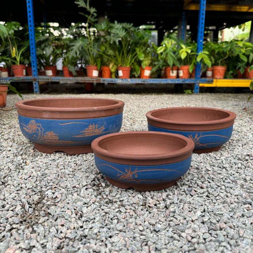 GPS Green Plant Society CPOT Bonsai Round Dark Blue Clay Pot Ceramic ...
