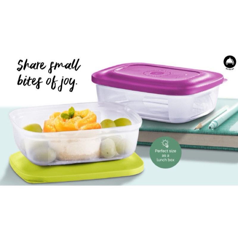 🔥TUPPERWARE BRAND SMALL RECTANGULAR🔥 | Shopee Malaysia