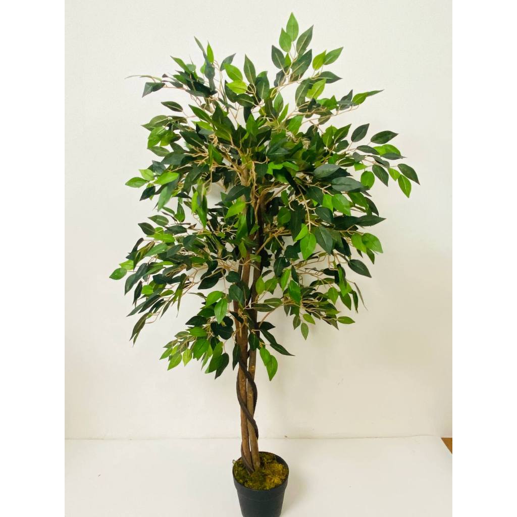 Premium Artificial Ficus Banyan Hijau Gelap Mini Tree Variegated Leaves ...