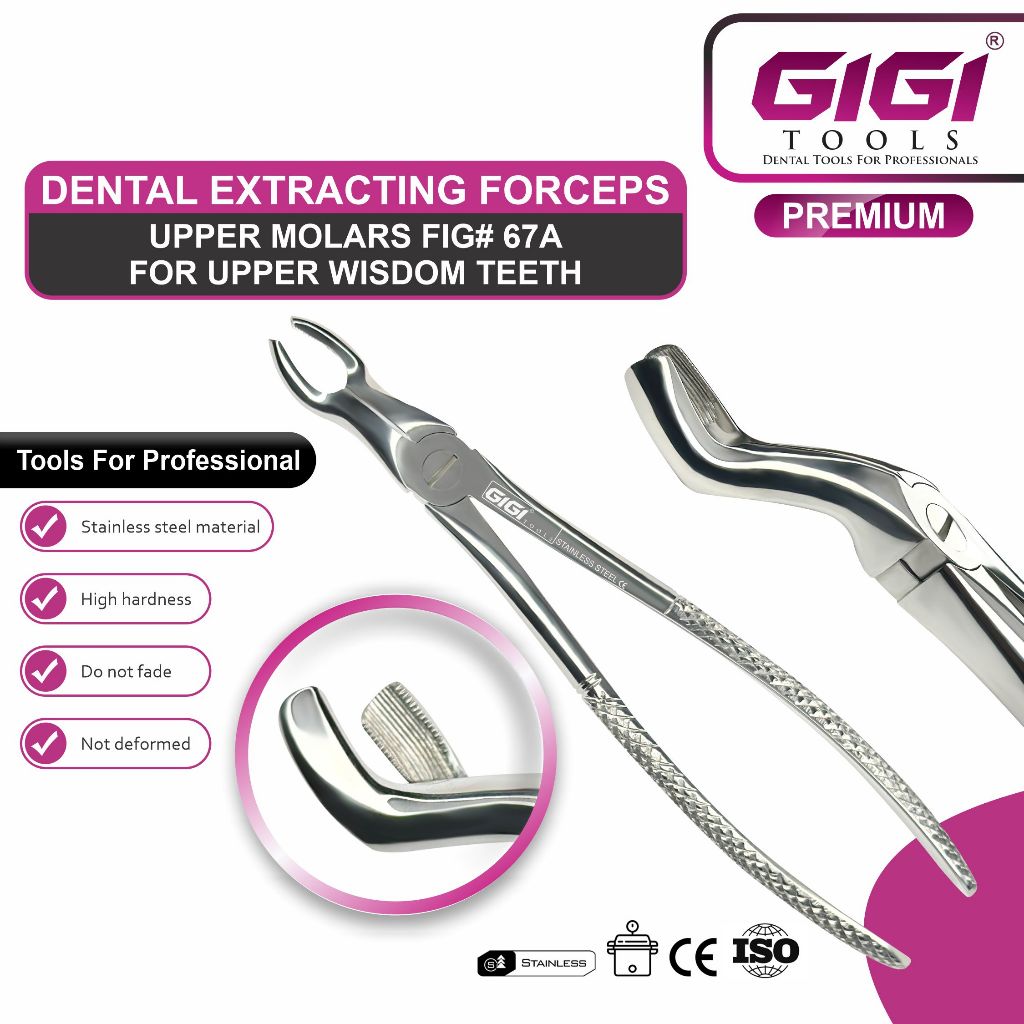 GIGI Tools Tooth Extracting Forceps FIG 67 Upper Molar Adult Forceps ...