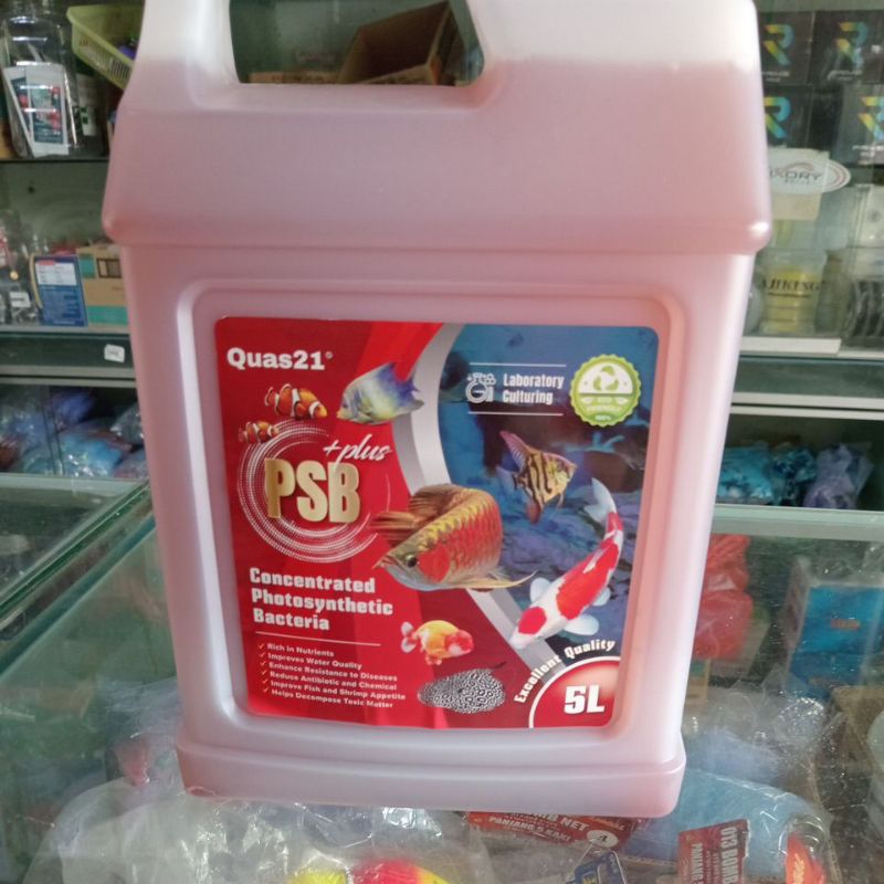 Quas21 concentred photosynthetic bakteria 5Liter | Shopee Malaysia