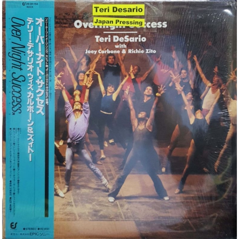 Teri DeSario With Joey Carbone & Richie Zito - Overnight Success (LP ...