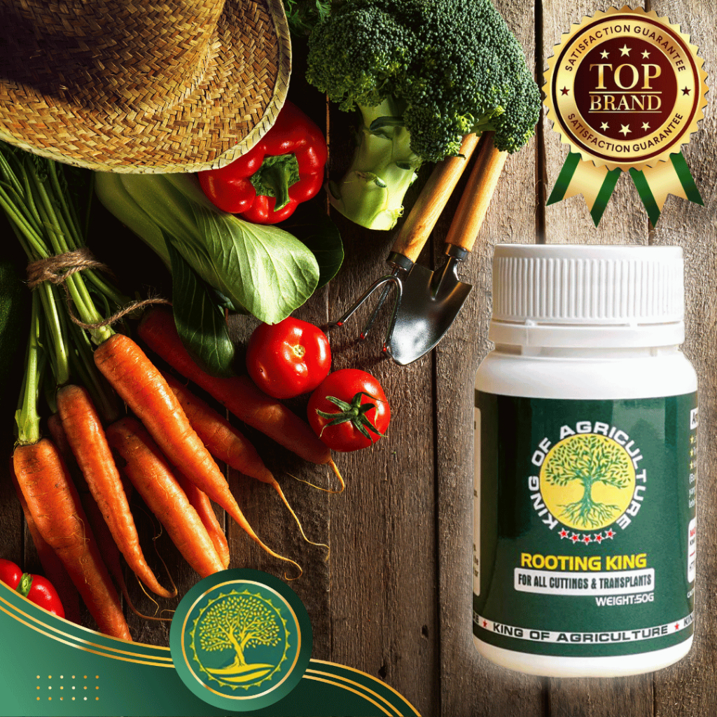 Rooting King - New generation fertilizer, Baja baharu merangsang ...