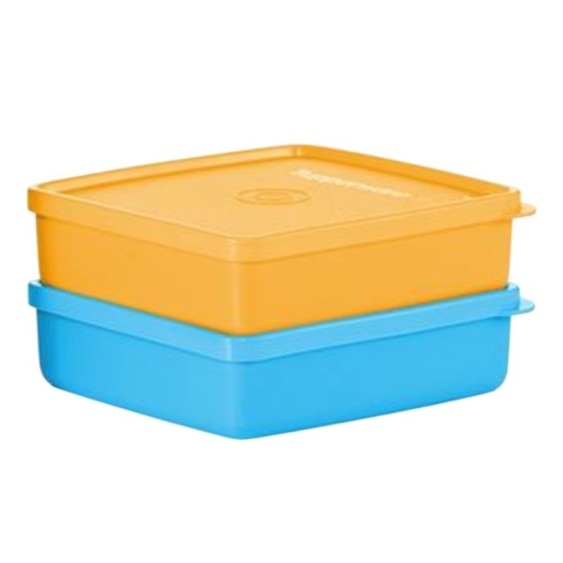 TUPPERWARE SQUARE AWAY 400ML (2PC) | Shopee Malaysia