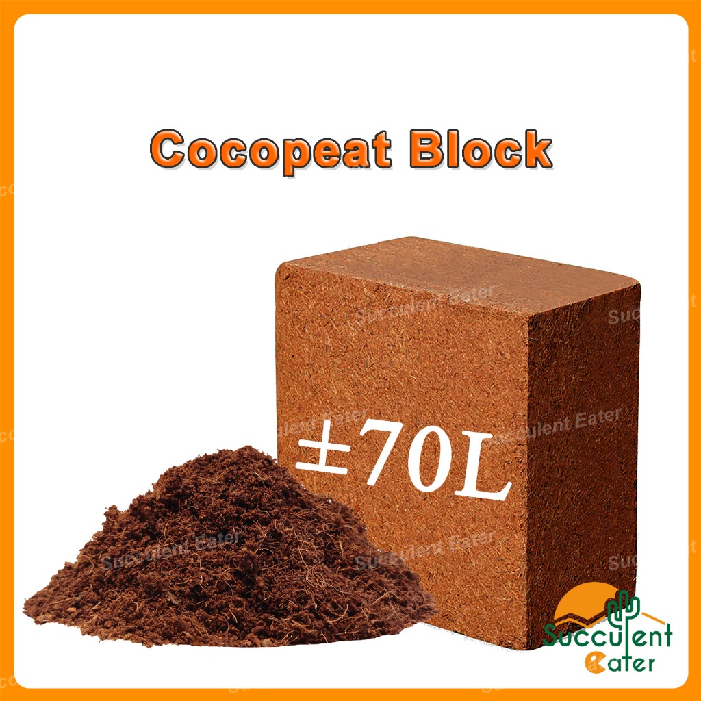 CocoBlock Cocopeat Block Brick Compressed Form Coconut Gardening 椰糠椰砖 ...