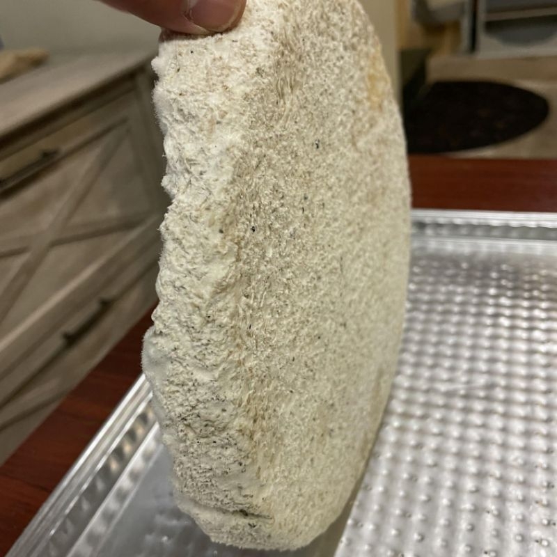 Wheat Bran Koji 麦麸麴 Ragi Koji Dedak Gandum 200g Dry Age Coating ...
