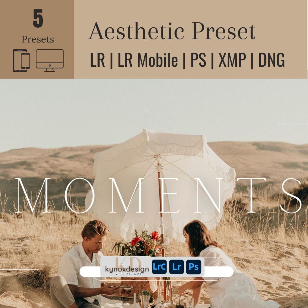 [Lightroom Preset] Aesthetic Preset - Moments for LR/LR(mobile)/PS ...