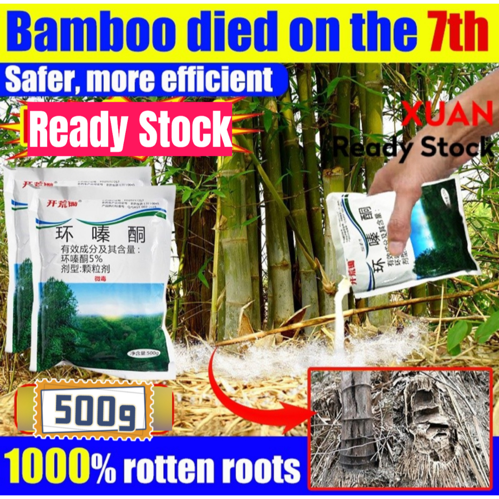 Big trees rot at the roots Racun pokok kayu besar 500g Racun pokok paling kuat 5% Hexazinone ...