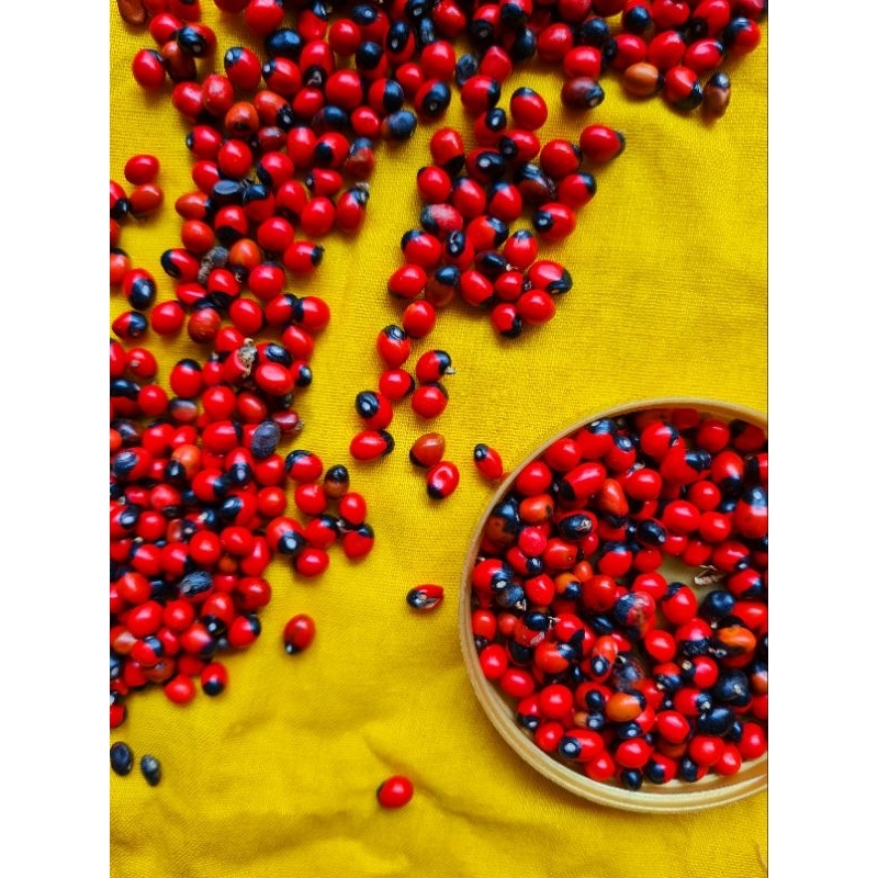 Swarnamane Red Kundrimani / Chirmi Beads 15 pcs | Shopee Malaysia