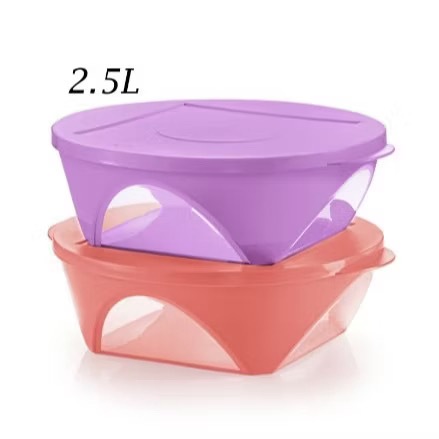 Tupperware Outdoor Dining Bowl 2.5L (2 pcs) | Shopee Malaysia
