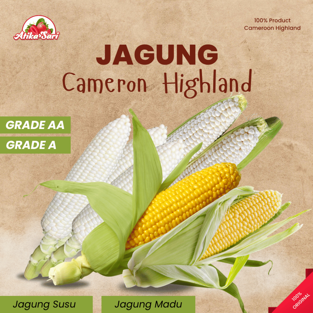 JAGUNG GRADE A CAMERON HIGHLAND | Shopee Malaysia