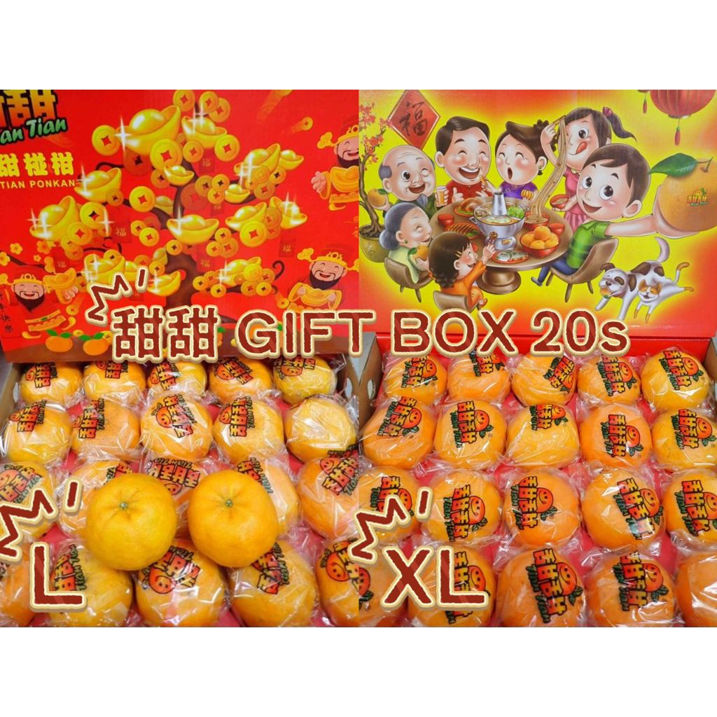 2025蛇年永春碰柑 4kg Yong Chun Ponkam 4kg/box Size M L XL Mandarin Orange Kam ...