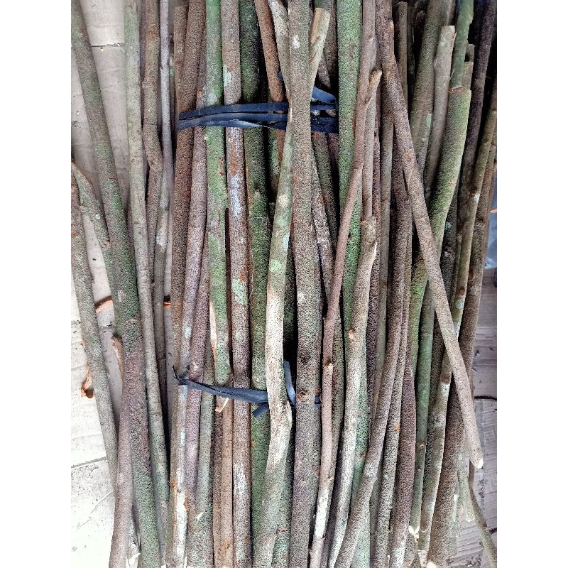 KAYU CENDERAI/KAYU ANGGAR BURUNG | Shopee Malaysia