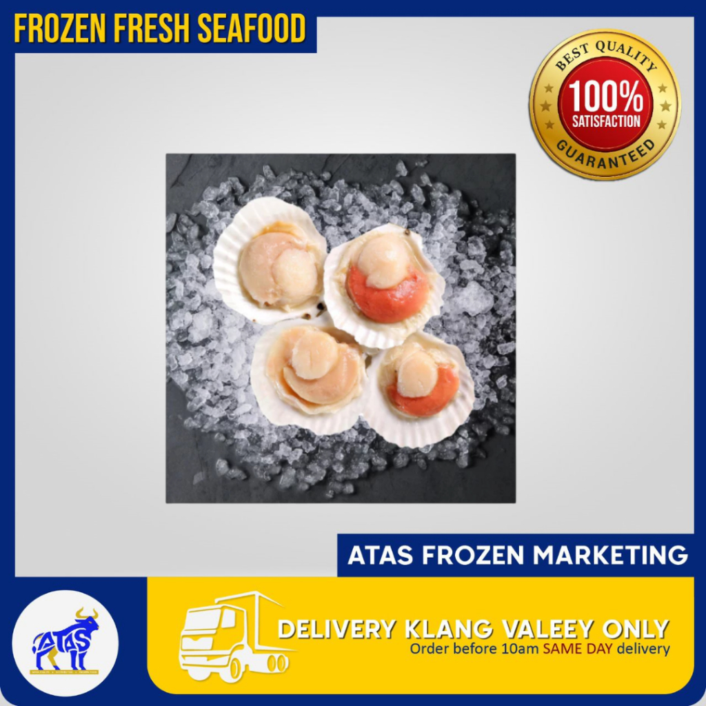 [🚚 KLANG VALLEY ONLY] HALF SHELL SCALLOP WITH ROE 1kg | Shopee Malaysia
