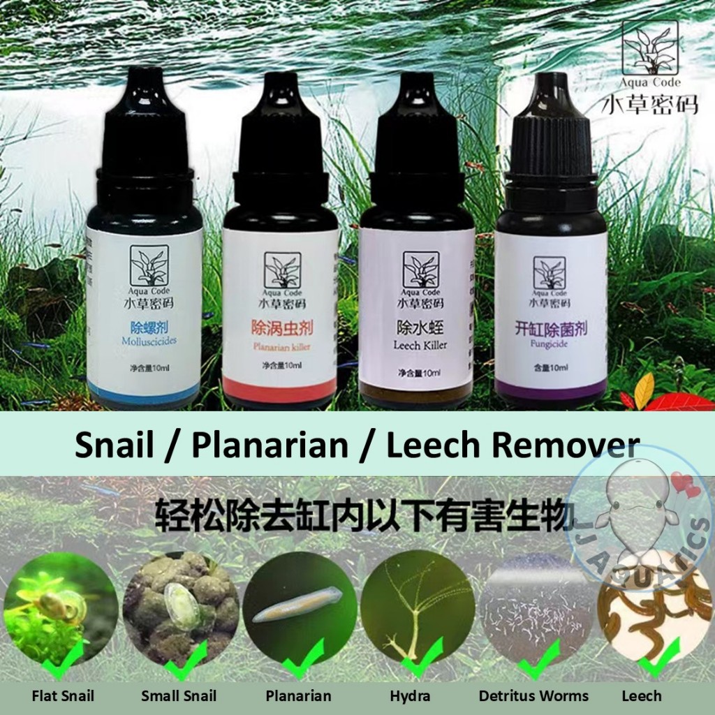 🔥Ready Stock🔥Aquacode Aquarium Snails Molluscicides Planarian Detritus ...
