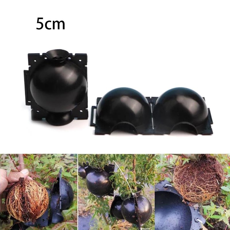 30pcs High Pressure Grafting Ball Boxes 5cm Plant Rooting Device ...