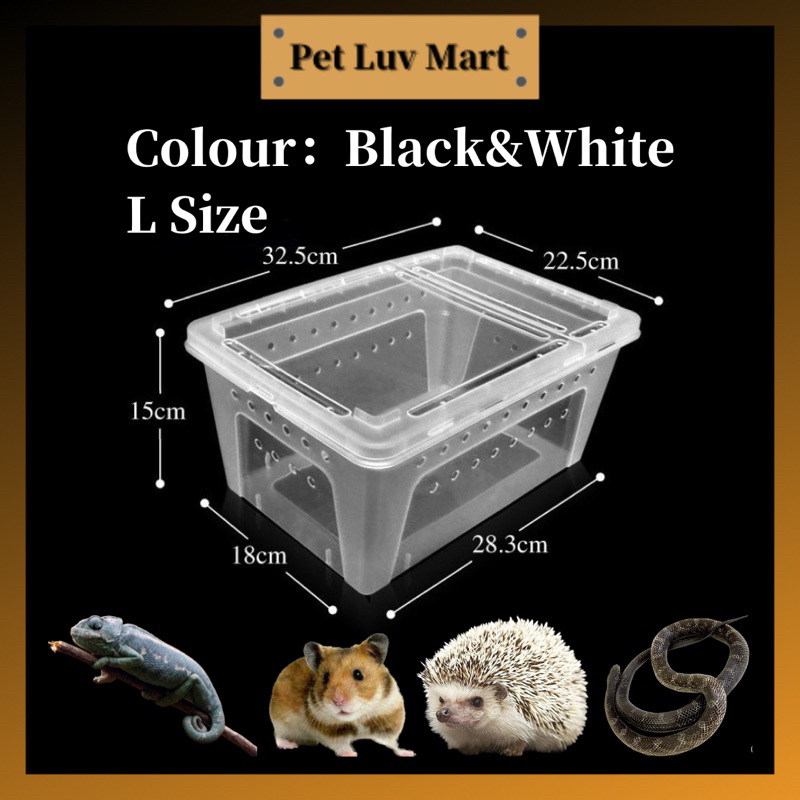PETLUV Reptile Plastic Breeding Box L Size Shelter Insects Horn Frog ...