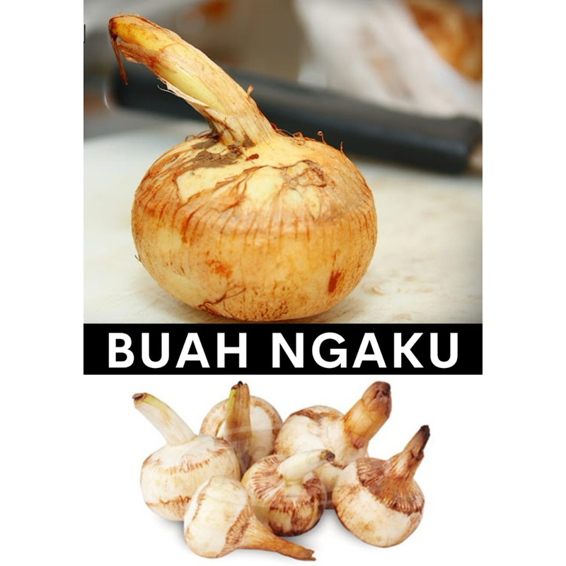 Kerepek Ngaku HALAL RM8 (150Gram+-) | Shopee Malaysia