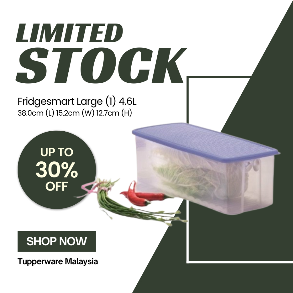 Tupperware FridgeSmart Large (1) 4.6L | Shopee Malaysia