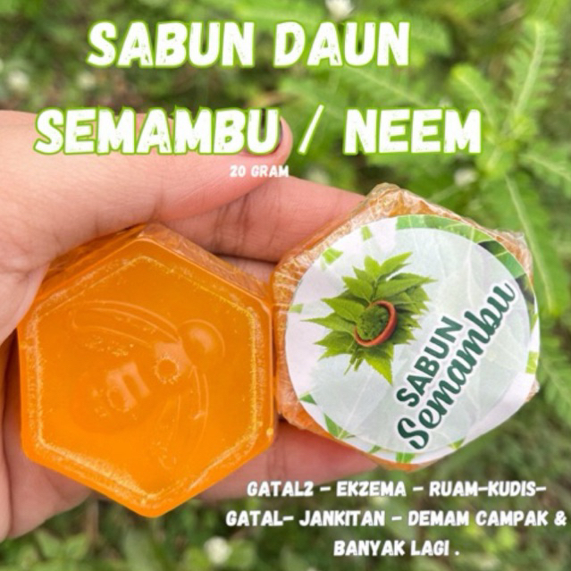 Sabun Daun Semambu (Neem) 20g | Shopee Malaysia