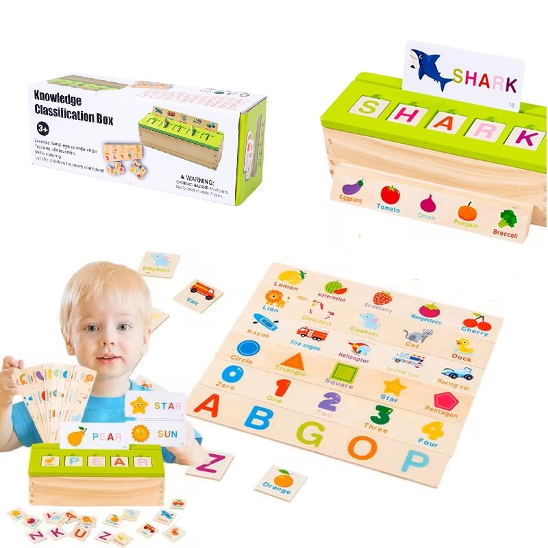 Wooden Shape Sorting Toys, Montessori Wooden Matching Box Knowledge ...