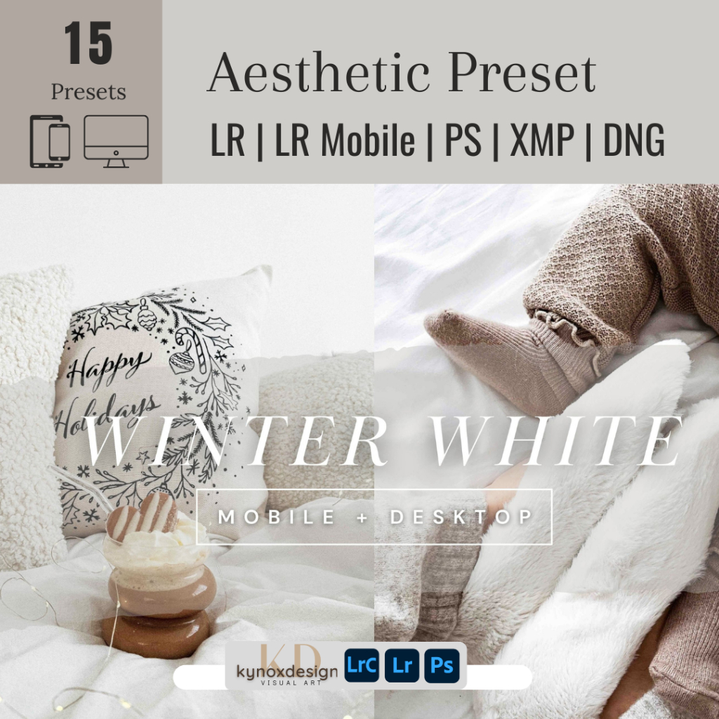[Lightroom Preset] Aesthetic Preset - Winter White for LR/LR(mobile)/PS ...